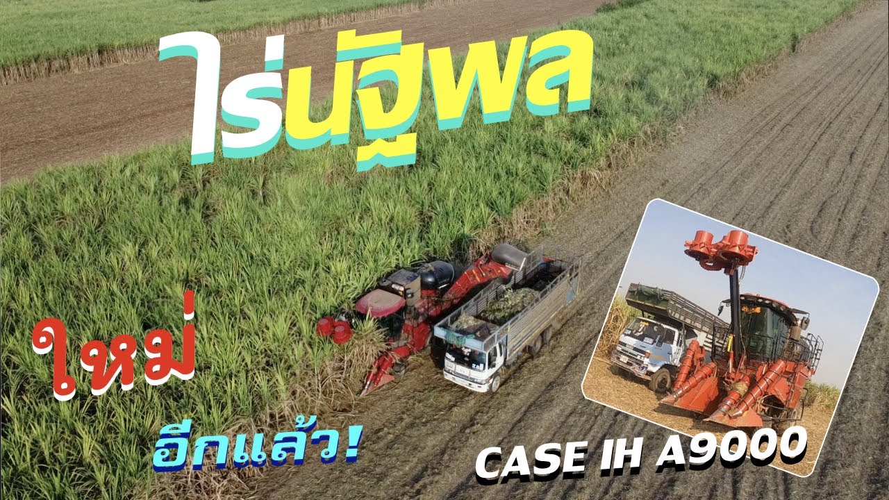 รถตัดอ้อยรุ่นใหม่ CASE IH A9000 ทีมงานไร่นัฐพลฤดูกาล 2022 EP 389 - YouTube