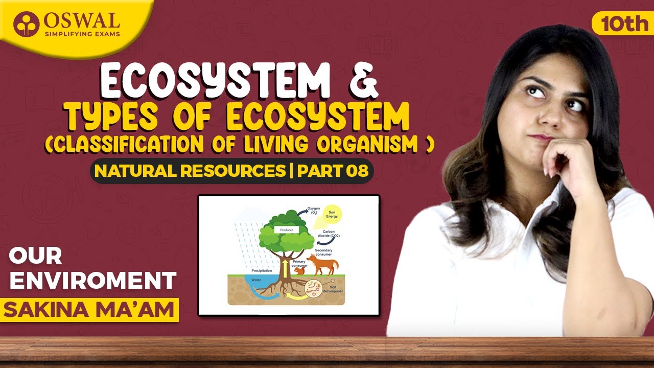Ecosystem - Our Environment (Part 8) | Class 10 Science Chapter 15 ...