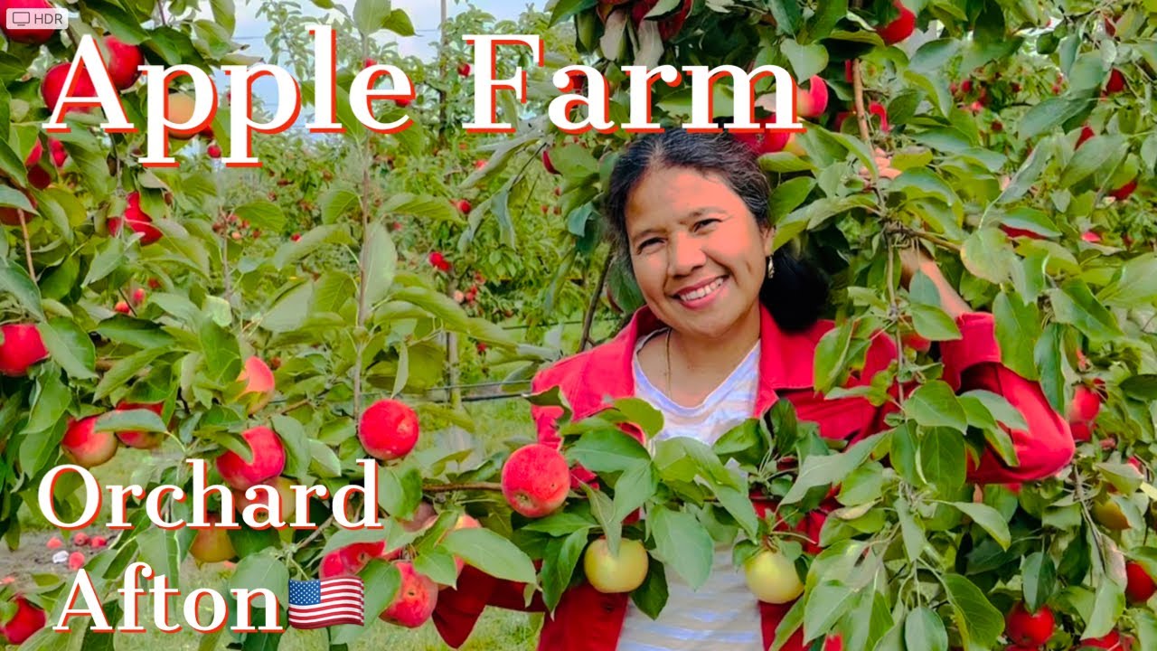 Delicious Apples🍎 - YouTube