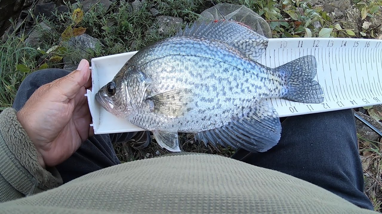 Pre-fishing work. - YouTube
