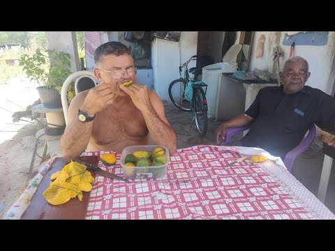 desafio de manga direto do nordeste...