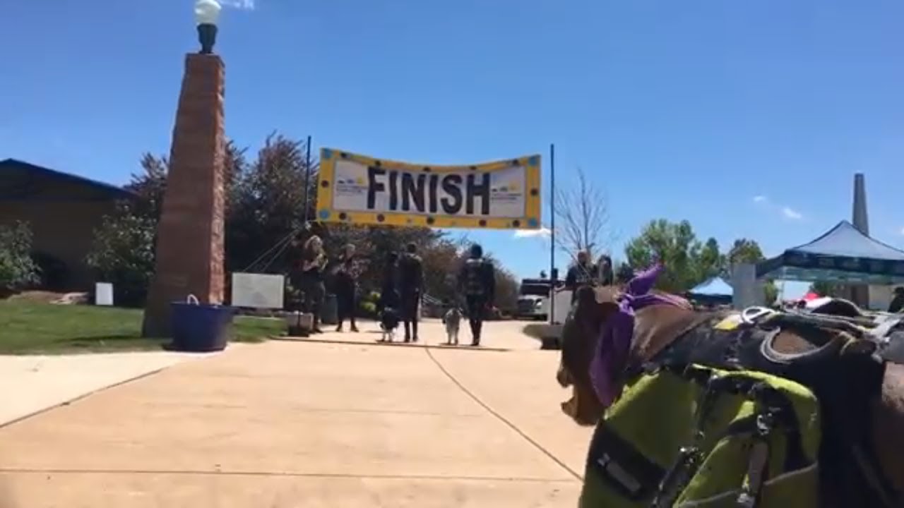 Finish line The Frey Life Cystic Fibrosis 5K - YouTube