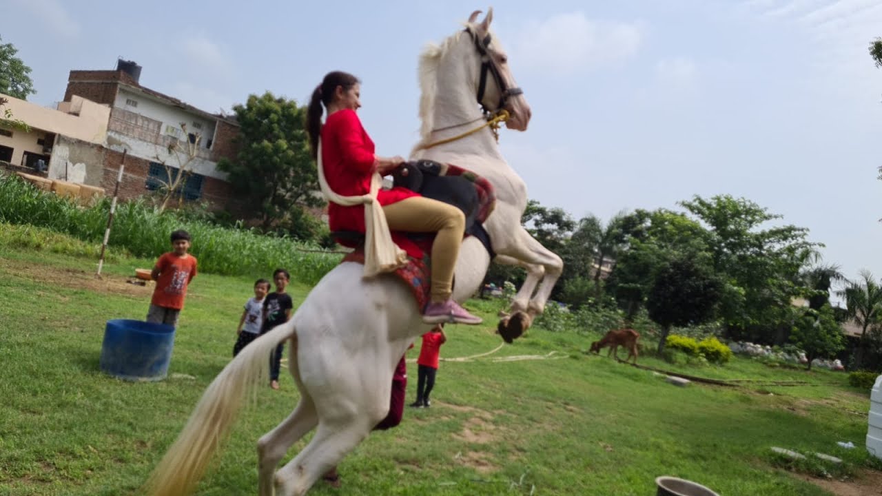 Horse Riding sunday Enjoy Part-3 - YouTube