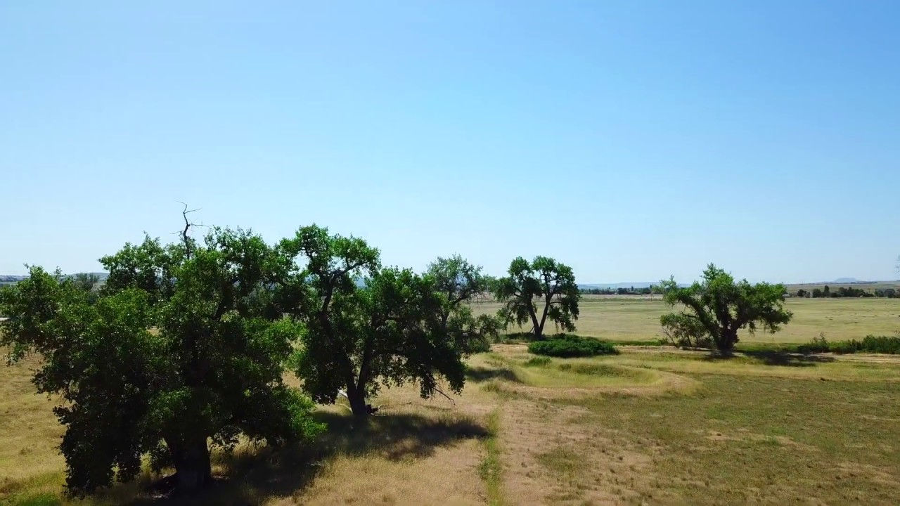Flying Towards Trees SANDE - YouTube