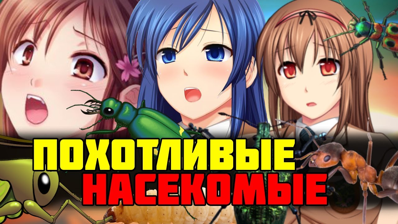 ПОХОТЛИВЫЕ НАСЕКОМЫЕ! Konchuu kansatsu обзор - YouTube