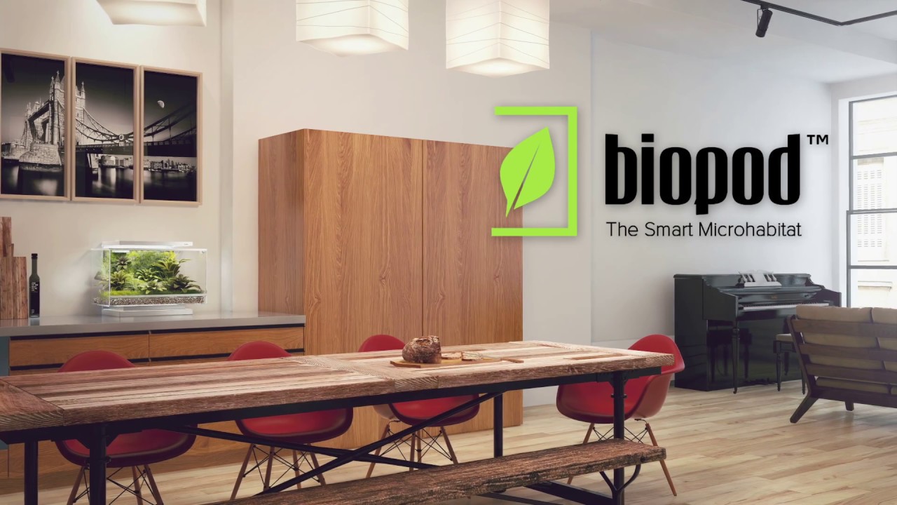 A mini rainforest in your home. Biopod - The Smart Microhabitat - YouTube