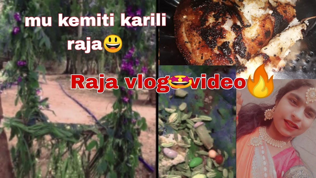Raja Mauja Mu Kemiti Raja Karili😃🔥//Raja Jamigala Raja Vlog Video//# ...