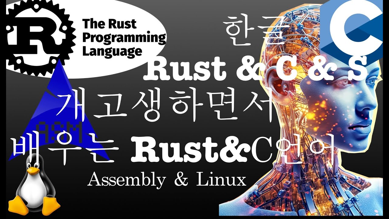 개고생하면서 배우는 Rust And C And Assembly 집중 분석 005 Advent Of Code Day01 Youtube