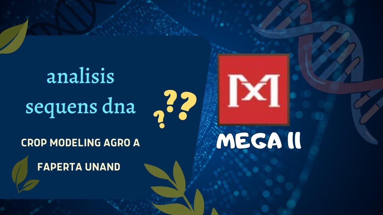 Analysis Sequens DNA || Mega 11 || Crop Modeling - YouTube
