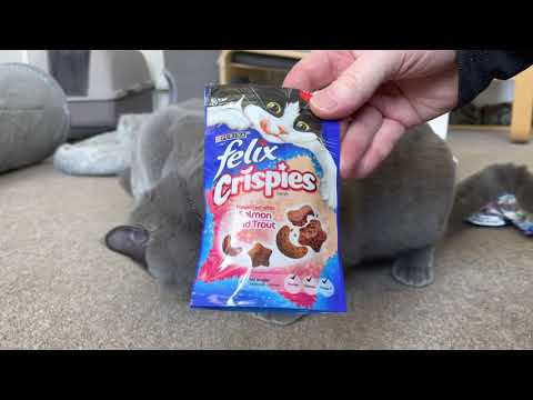 The Taste Test for "Felix Treats" - YouTube