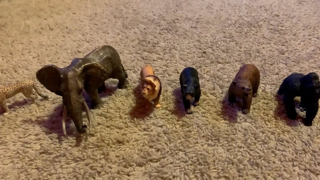 Animal Face-Off | Official Trailer - YouTube