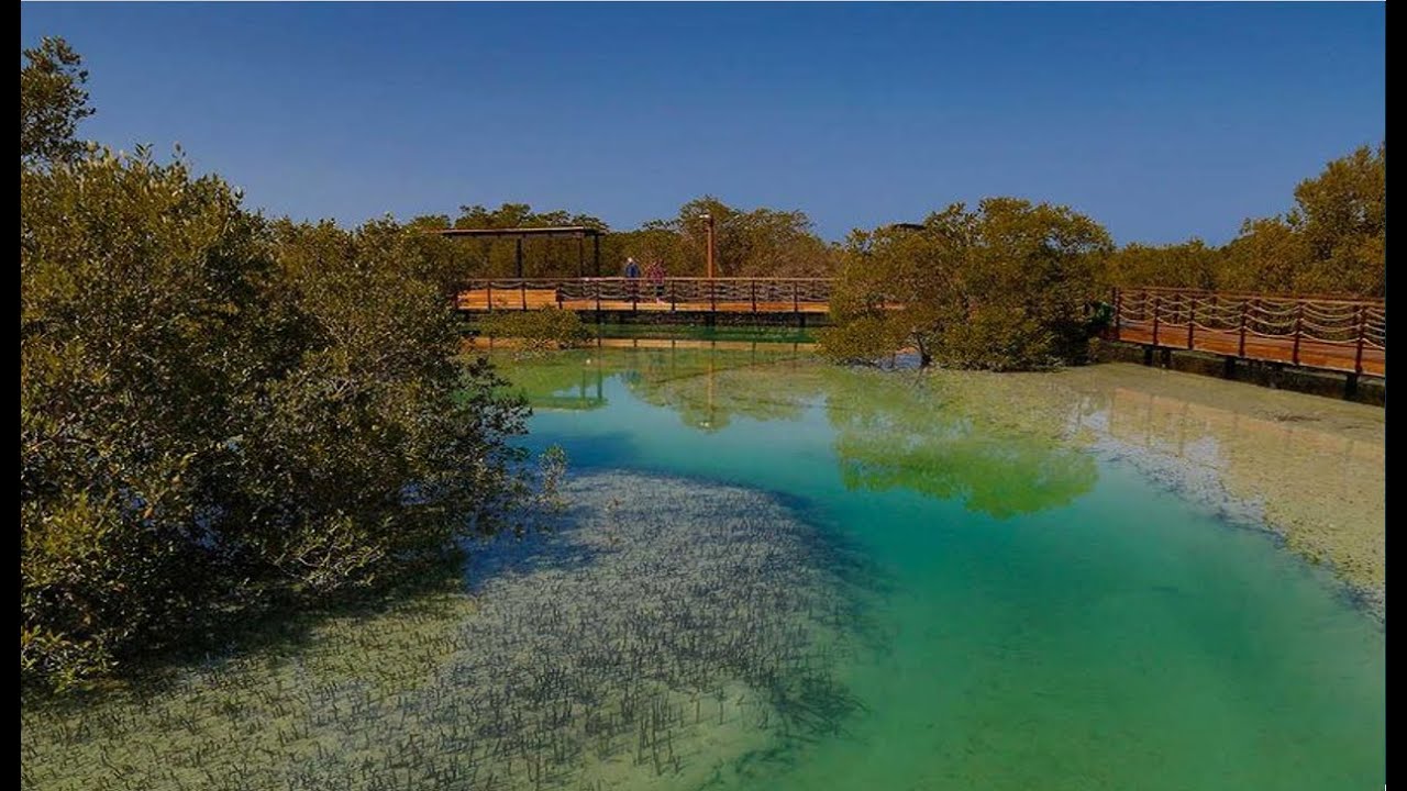 United Arab Emirates Natural Resources