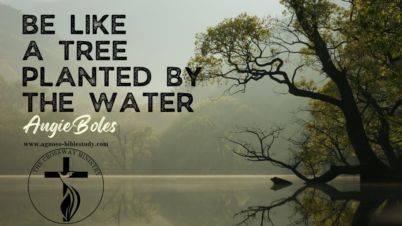 Be Like A Tree Planted By The Water - YouTube