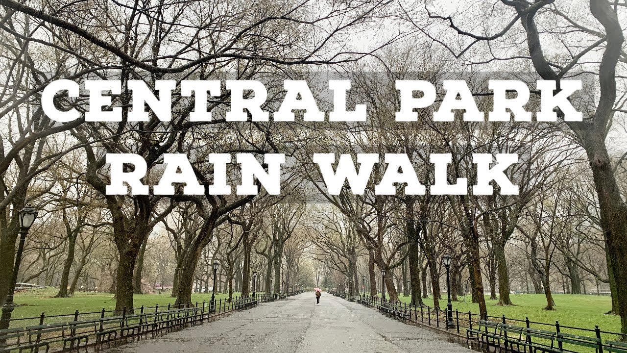 Walking Alone in the Rain in Central Park | NYC Rain Walk - YouTube