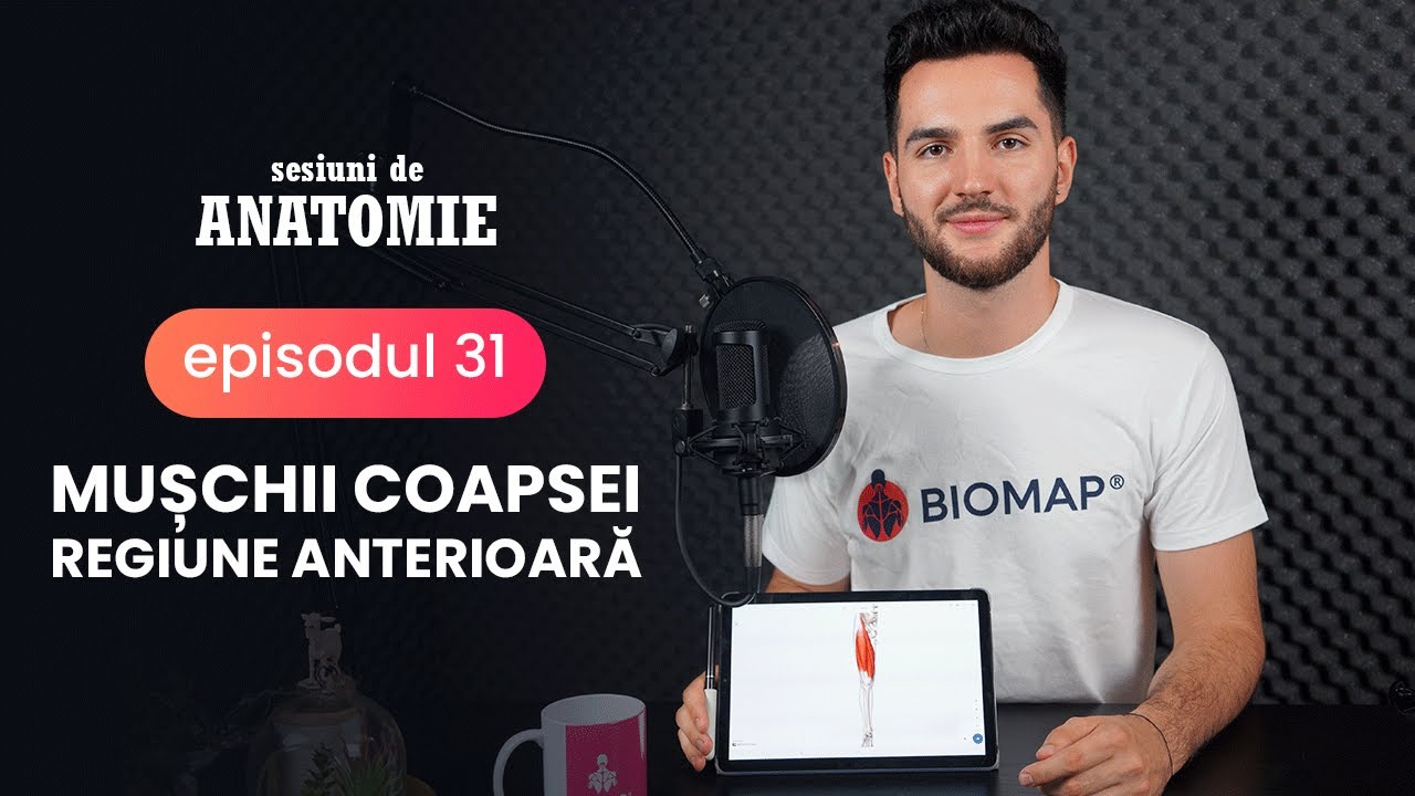 Mușchii din regiunea anterioară a coapsei @Sesiuni de ANATOMIE - ep.31 ...