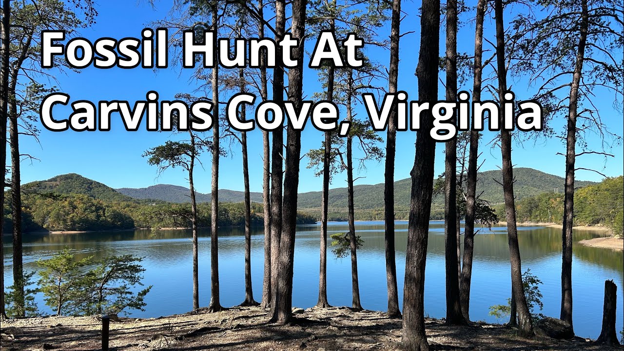 Fossil Hunt At Carvins Cove, Virginia! My Very First Fossil Hunt! # ...