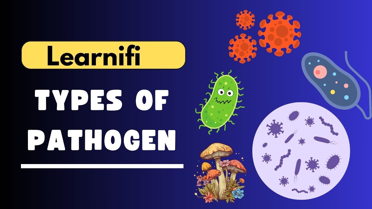 Type of pathogen - YouTube