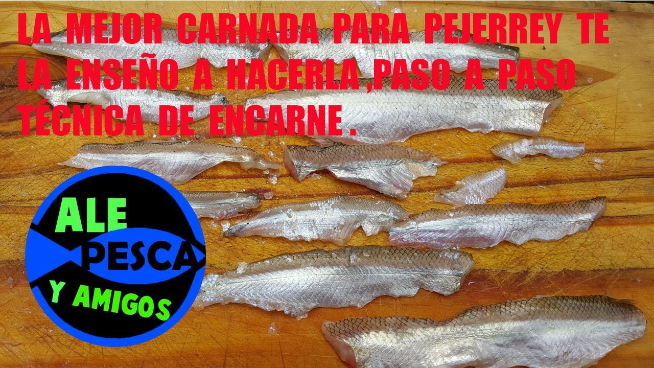 LA MEJOR# CARNADA PARA PEJERREY, FILET,FLECHA DE PLATA , TRUCOS Y TODO ...