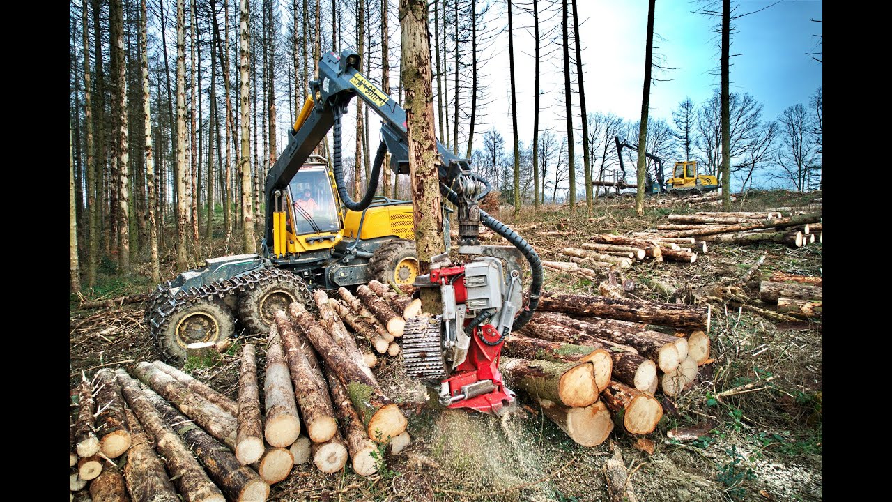🌲|4K| • WFW Ecolog 590F & HSM 208F 8WD • Harvester&Forwarder ...