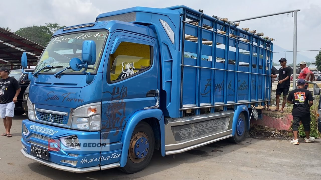 TRUK SETIA FARM MUAT SAPI DI PASAR JELOK BOYOLALI ️🔥🔥🔥 - YouTube