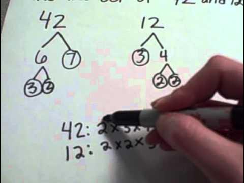 GCF using factor trees - YouTube