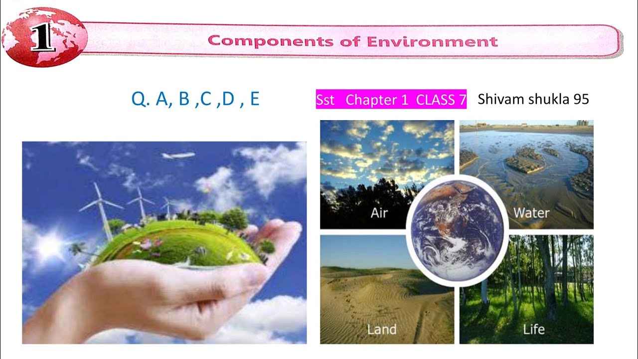 🏡 components of Environment |DAV class 7 sst chapter 1 Questions ...