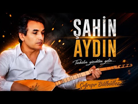 Şahin Aydın - Çığrışır  Bülbüller  (Official Video) 4K /Akustik/