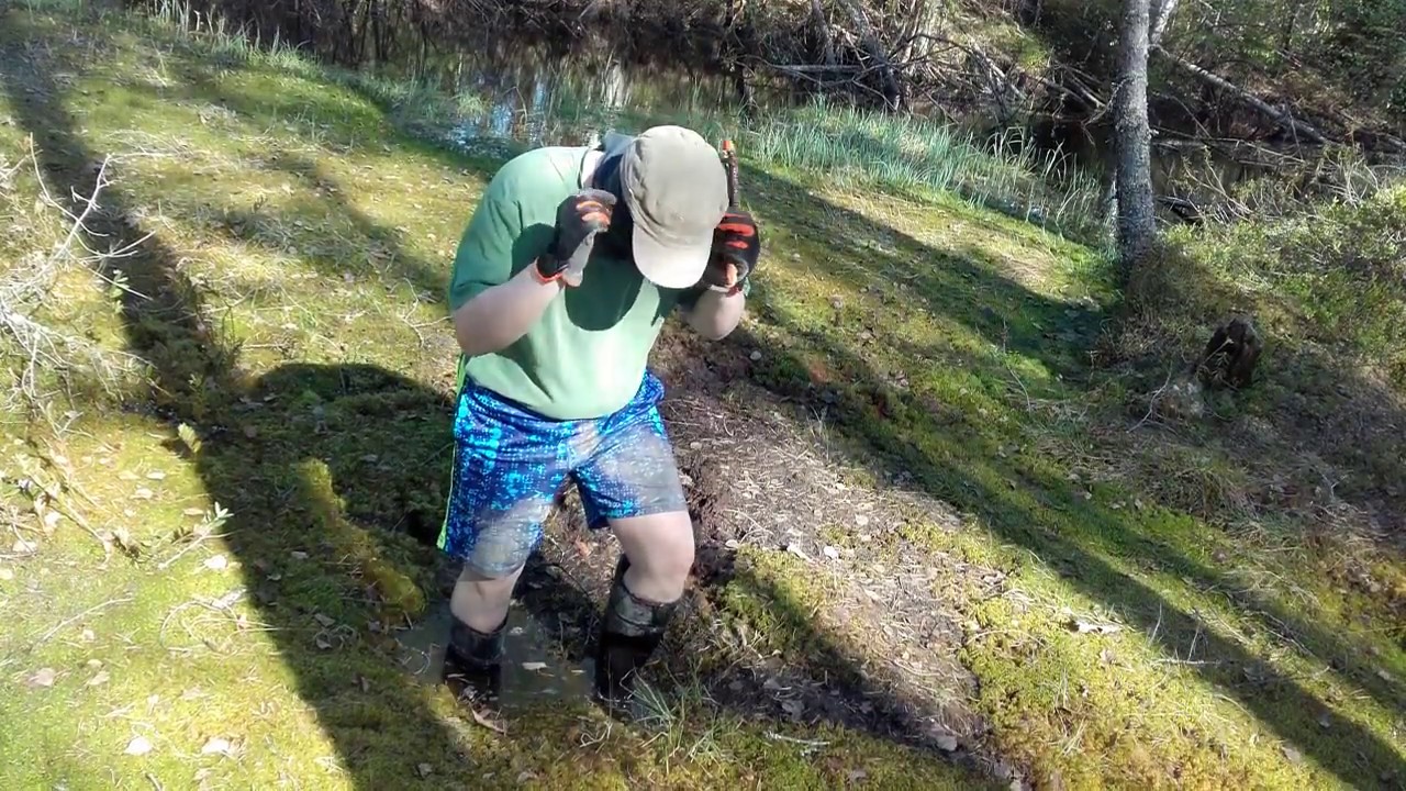 Short sink in swamp - YouTube