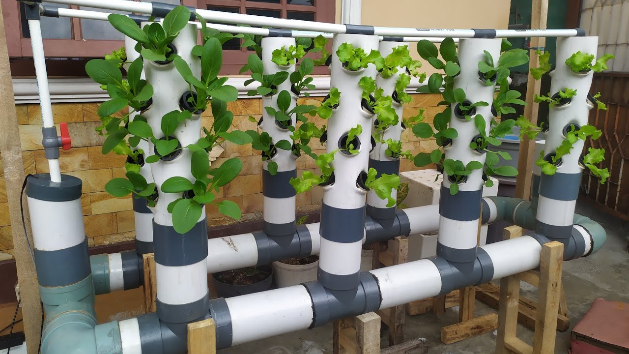 Diy Hydroponic Garden Tower Using Pvc Pipes | Fasci Garden