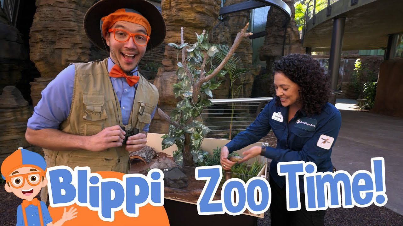 Blippi's Awesome San Diego Zoo Adventure | Blippi | Kids Show | Toddler ...