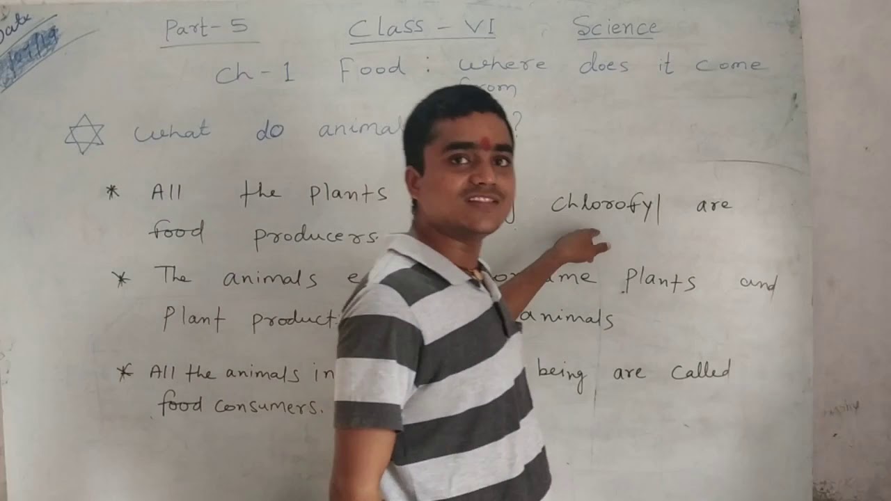 Class 6 Science Food Where Does It Come From Part 5 YouTube Class 6 Science Food Where Does It Come From Part 5 YouTube