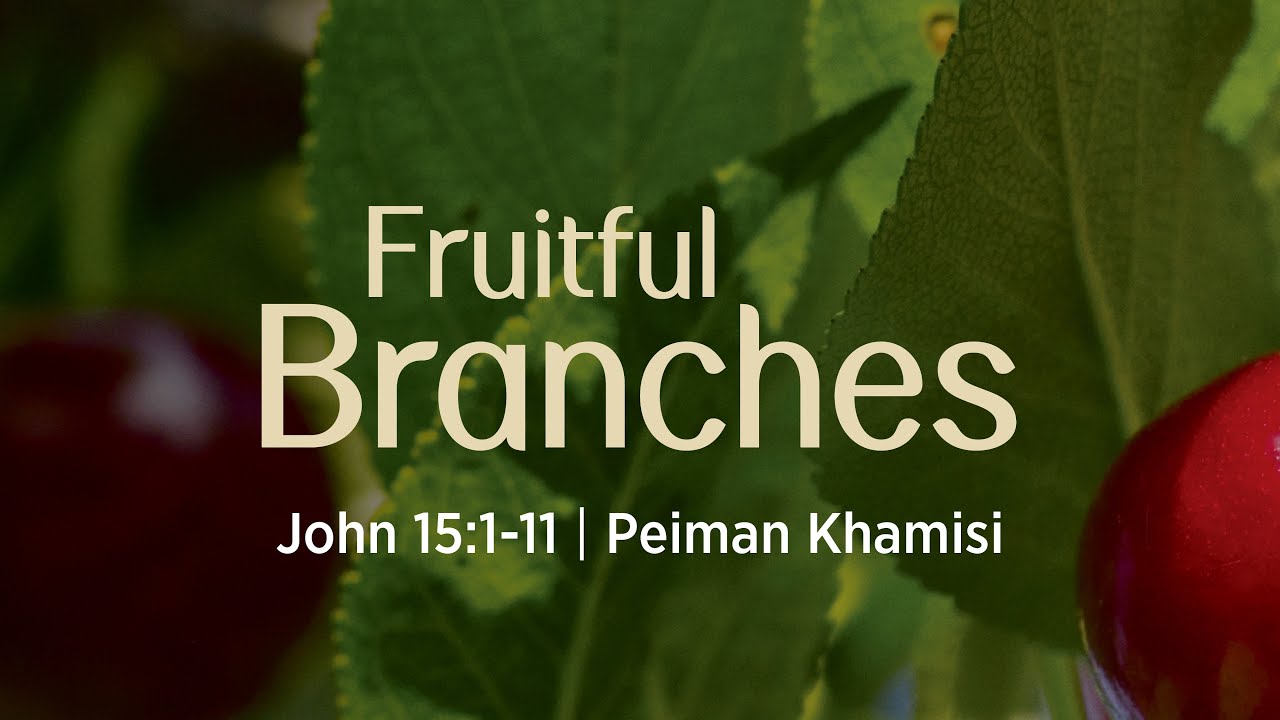 Classic | Fruitful Branches | Peiman Khamisi | The Orchard Arlington ...