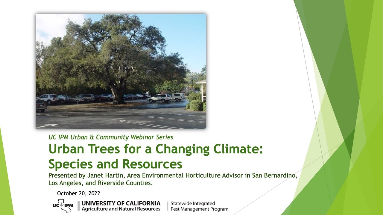Urban Trees for a Changing Climate: Species and Resources - YouTube