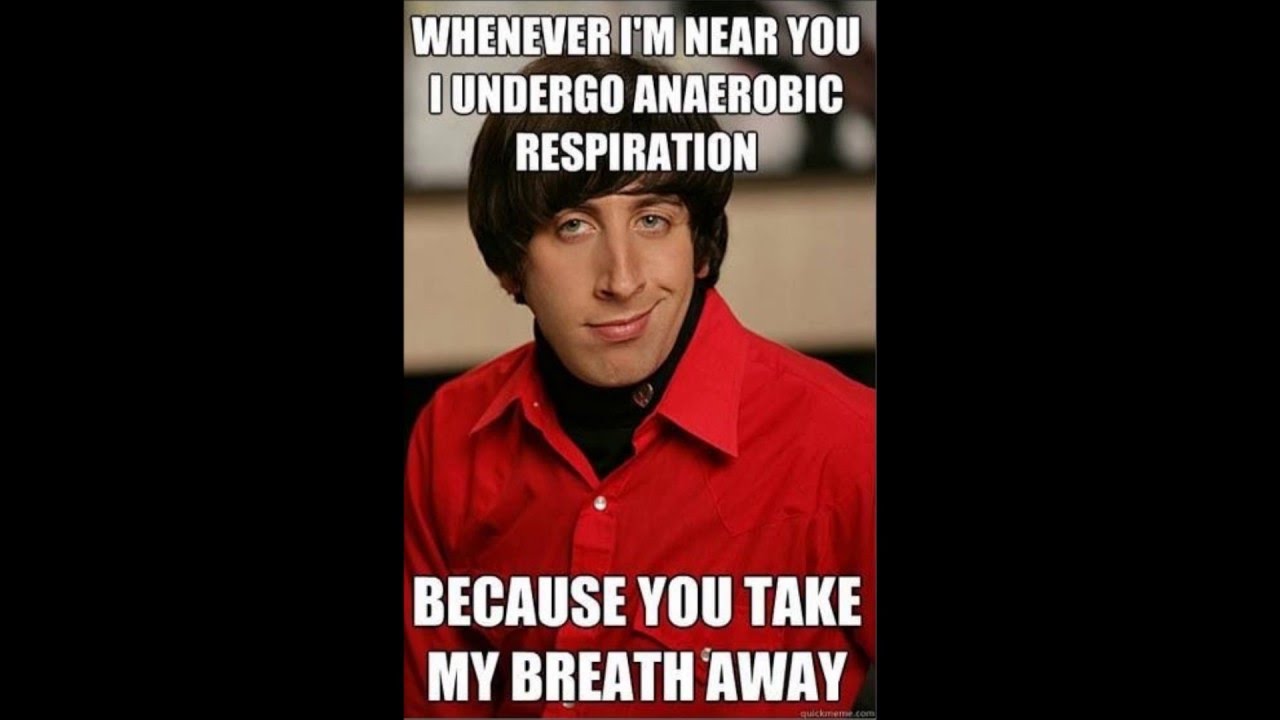 Cellular Respiration Memes
