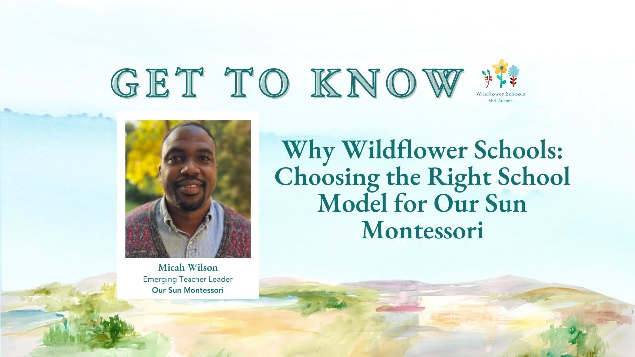 Why Wildflower Schools: Choosing the Right School Model for Our Sun ...