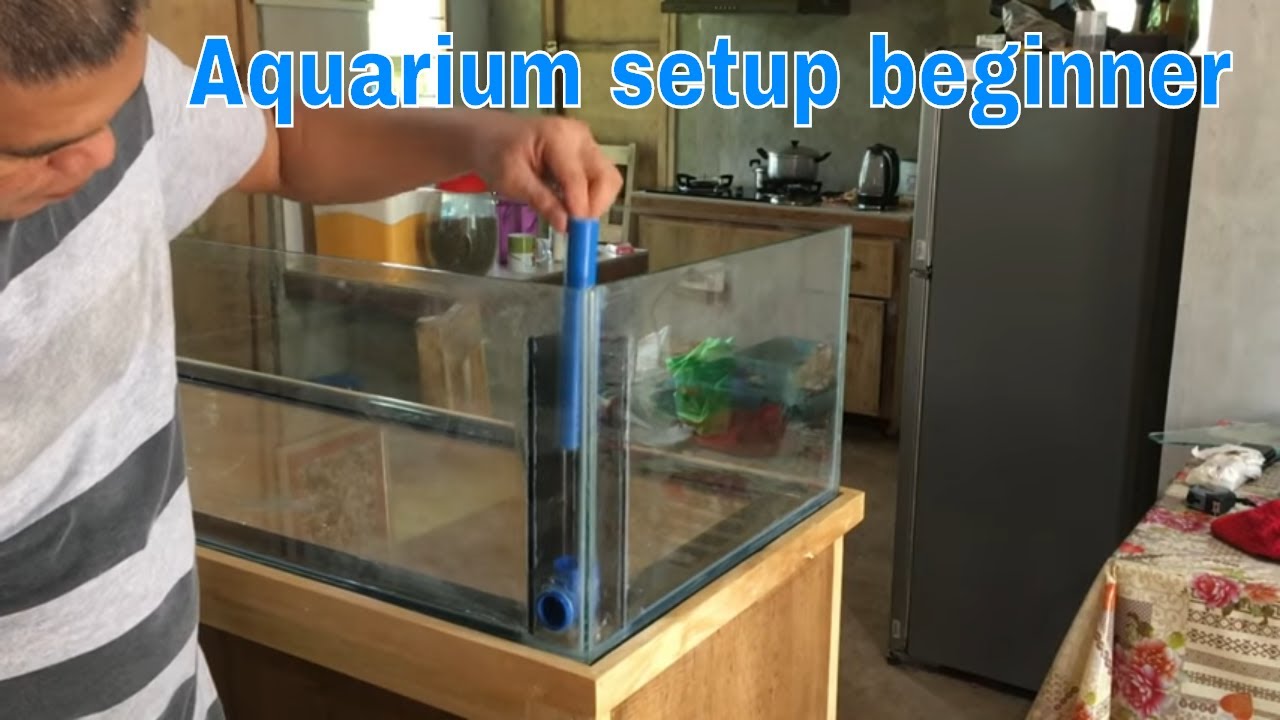 fish tank setup for beginners || bottom surface flow 😍 - YouTube