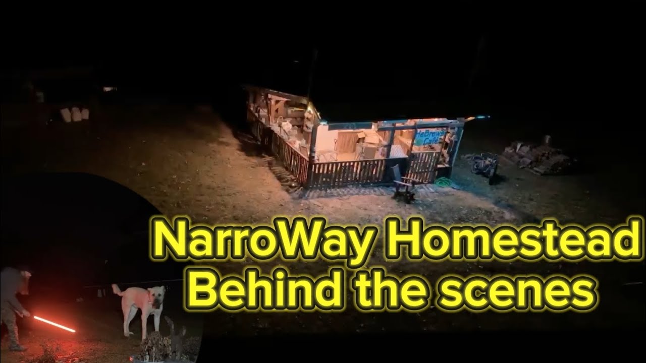 Behind the scenes at Nate Petroski's Homestead! - YouTube