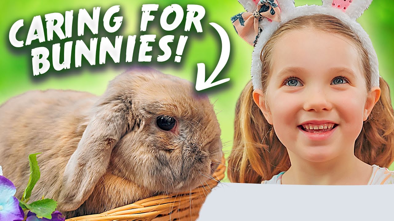 Caring for Rabbits Indoors - YouTube