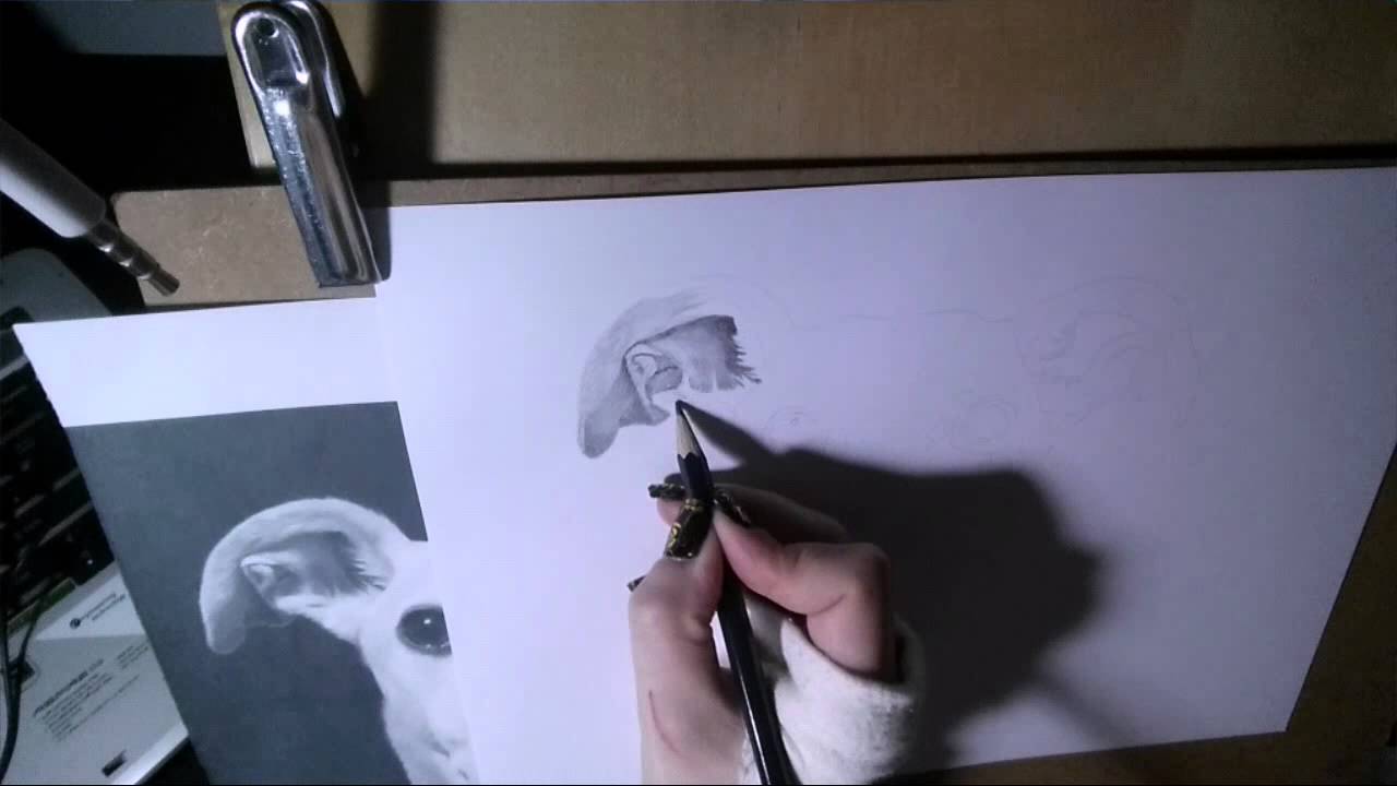 How to draw a greyhound portrait - YouTube