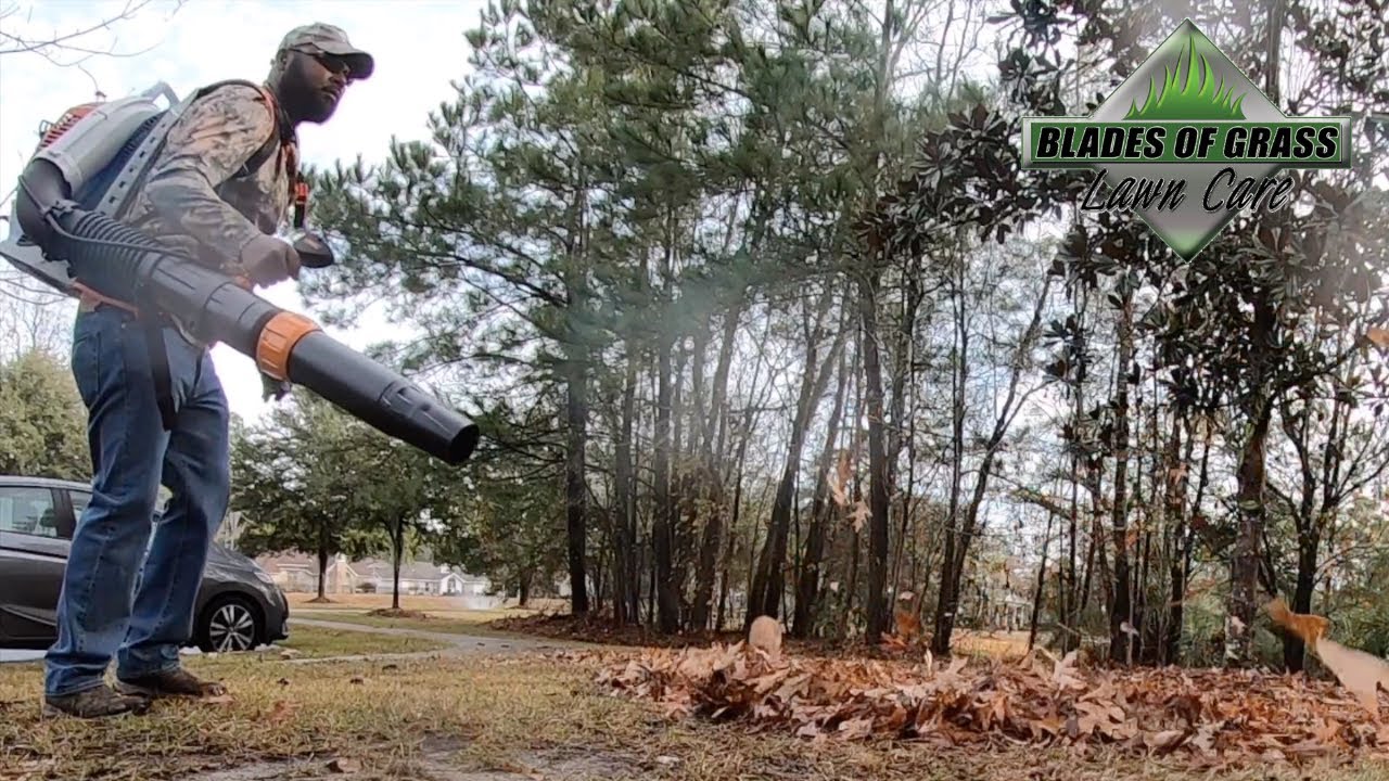 LAZY leaf cleanup made EASY - My leaf clean up tool - YouTube