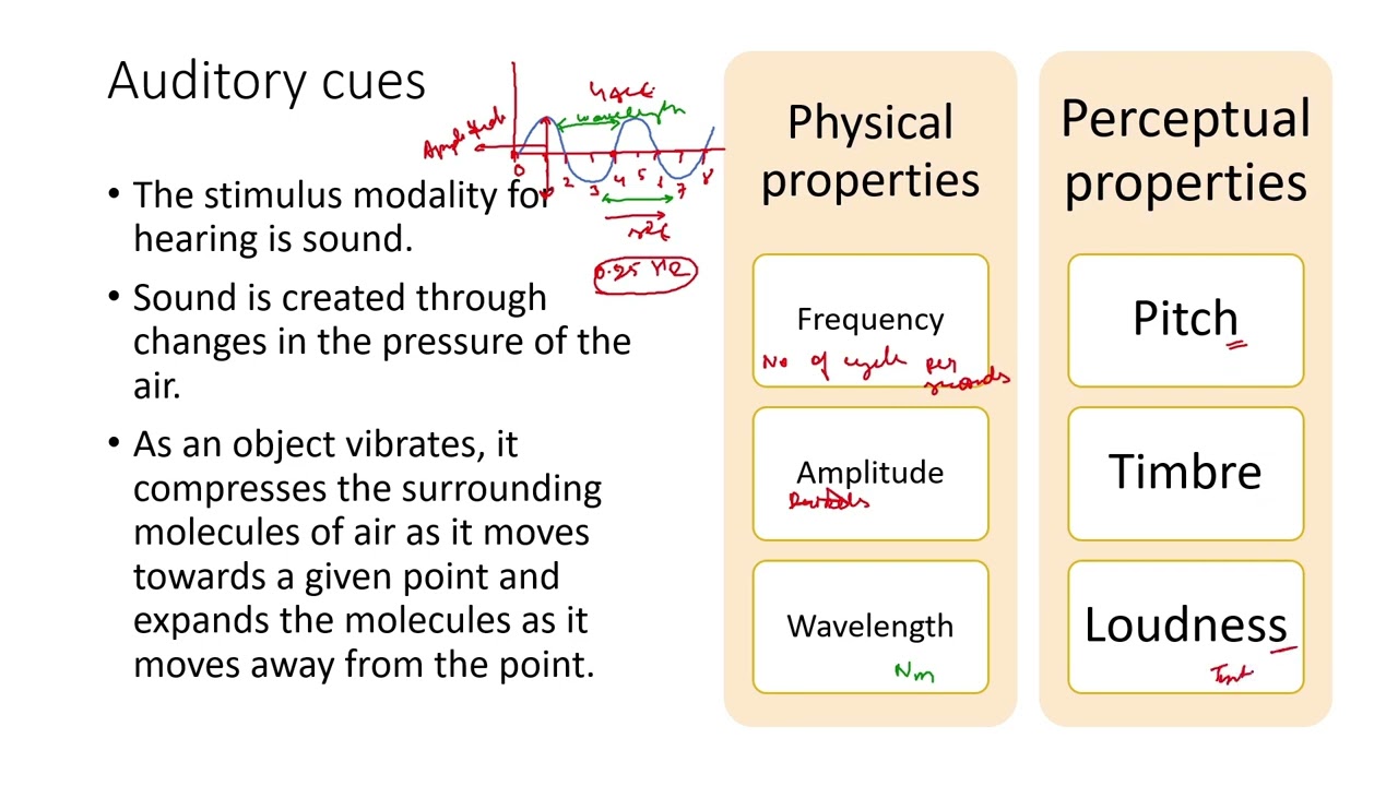 Communication: Aural Cues and Sound(GATE EY Ecology and Evolution ...