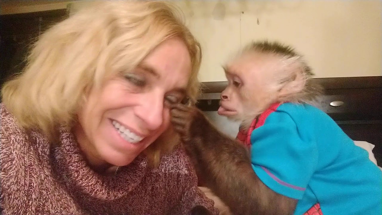 Energetic monkey needs attention Louie Ray - YouTube