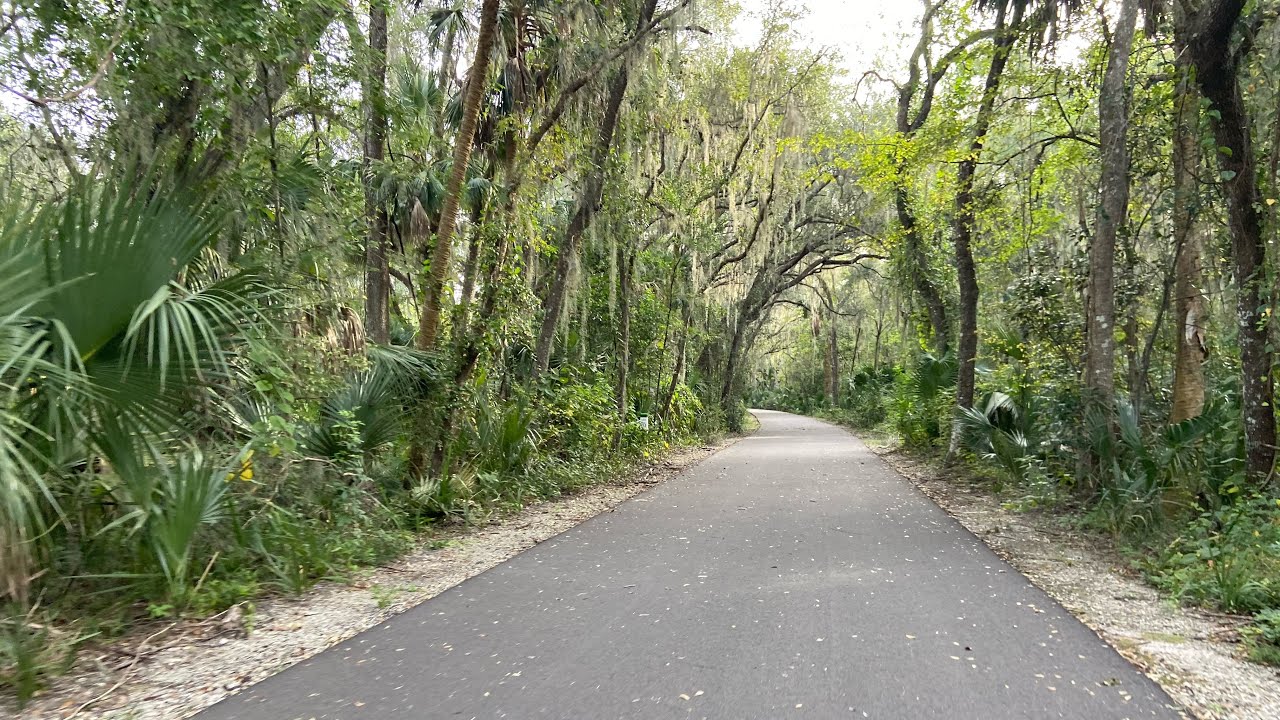 Spring to spring trail Debary Hall to lake Monroe - YouTube