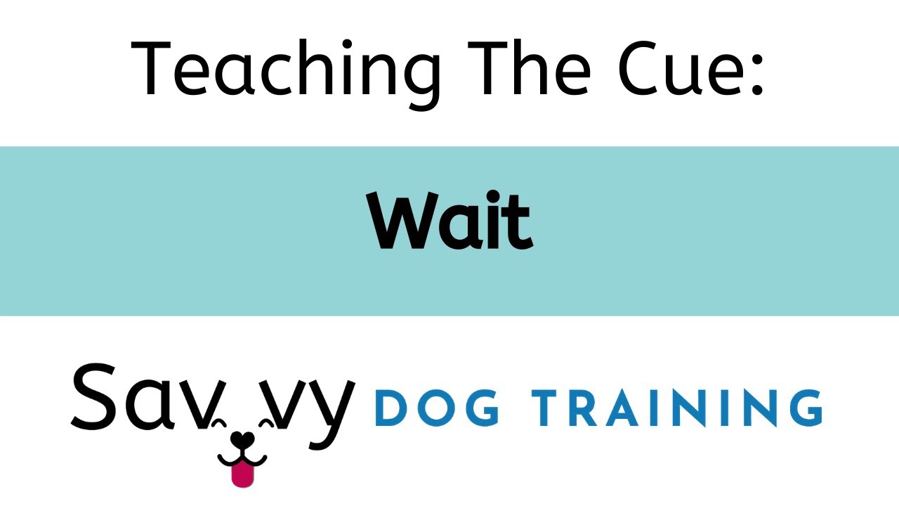Teaching The Cue: Wait - YouTube