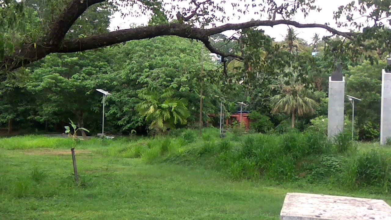 Kottayam Municipal Park - YouTube