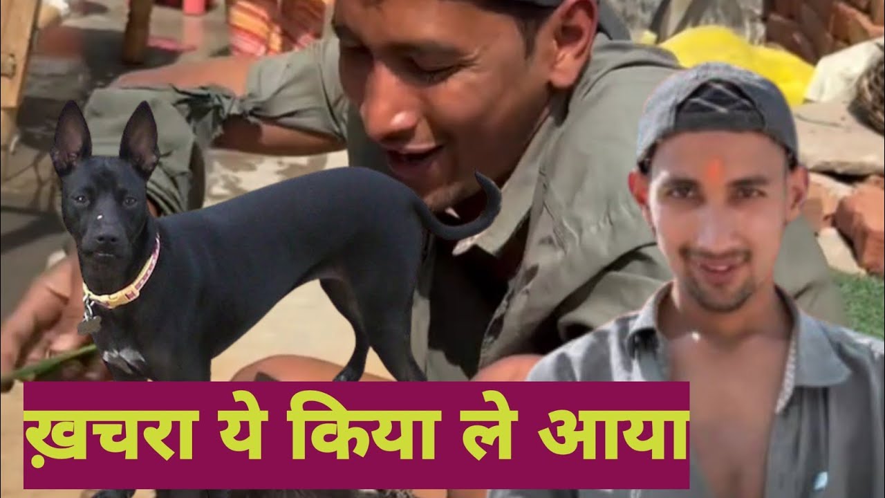 Khachra Ye Kiya Le Aaya??? || Khachra Ki Video😎😂 || COMEDY OF KHACHRA ...