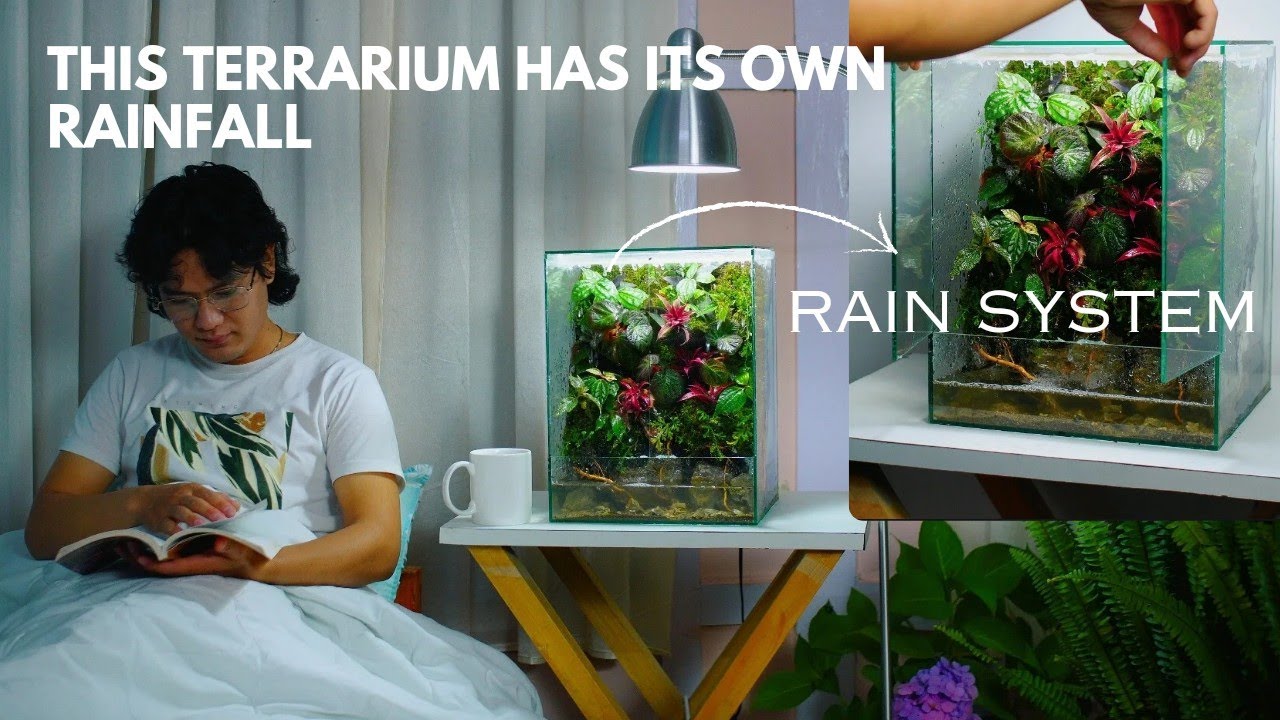 i made a raining terrarium with a diy glass door | rainfall paludarium ...