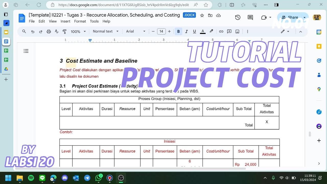 Tutorial Project Cost (Project Plan 365) - YouTube