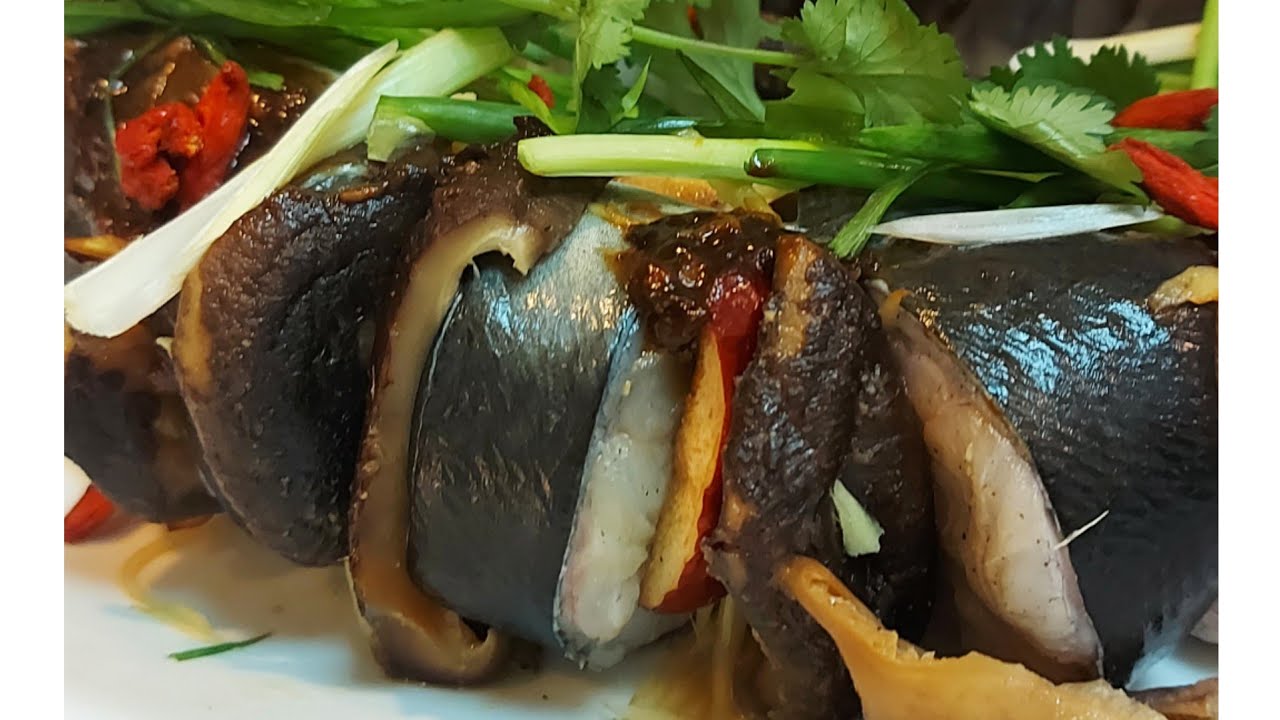 How to steam an EEL, (preparations & steps) - YouTube