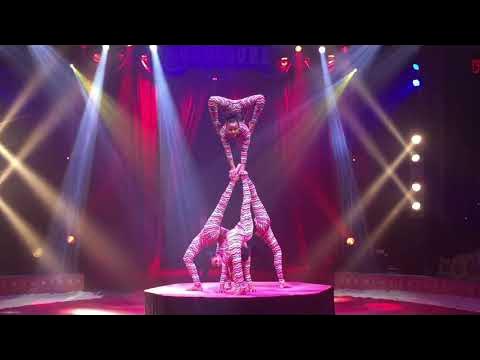 AFRICAN ARTISTE MANAGEMENT GROUP CONTORTION ACT '# 9 - YouTube